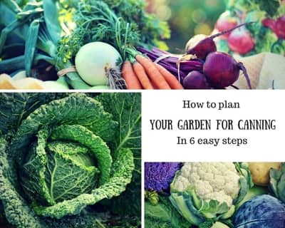Planting a garden with canning in mind (in 6 easy steps) – Your ...