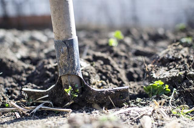 How to Maximize Garden Space – Your Homestead Journey